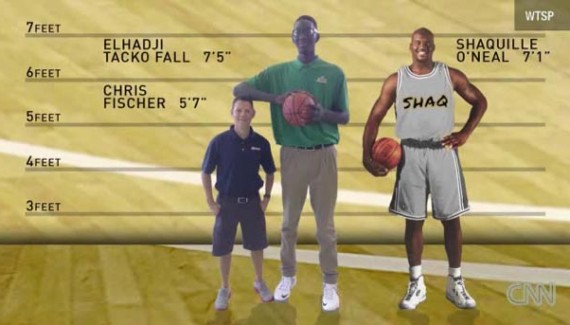 NCAA : Tacko Fall (2m26) autorisé à jouer • Basket USA